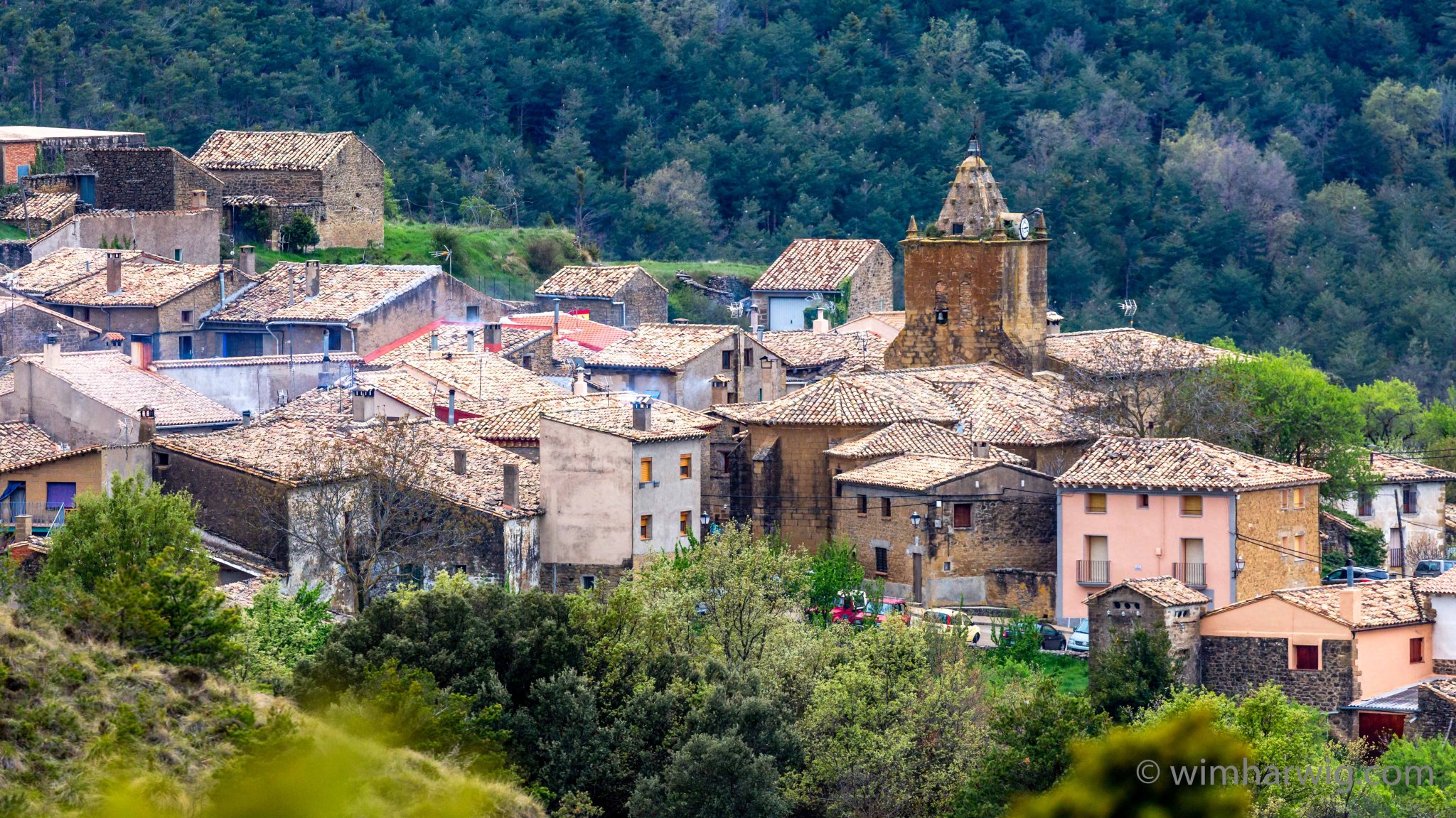 Aragon – Wim Harwig